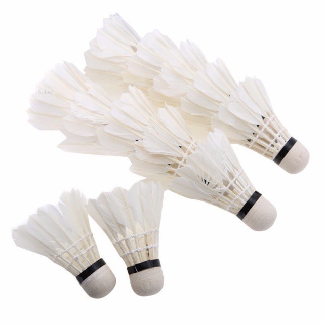 Pioneer Shuttlecock (12 pcs New ) Amusi is Available | Shopee Philippines