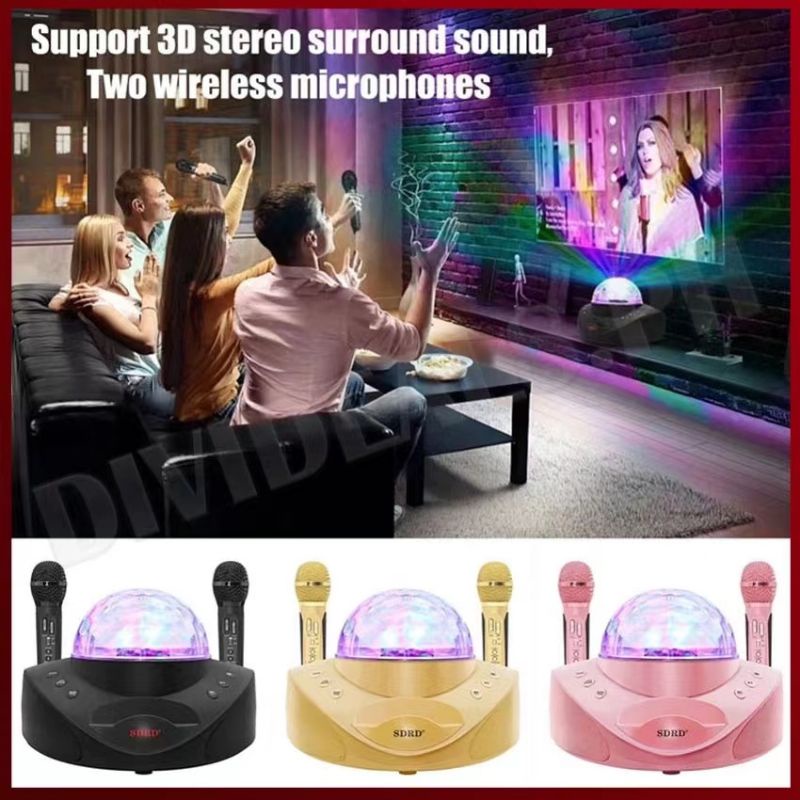 SDRD SD-308 LED Light Dual 2 Wireless Microphone Bluetooth Karaoke ...