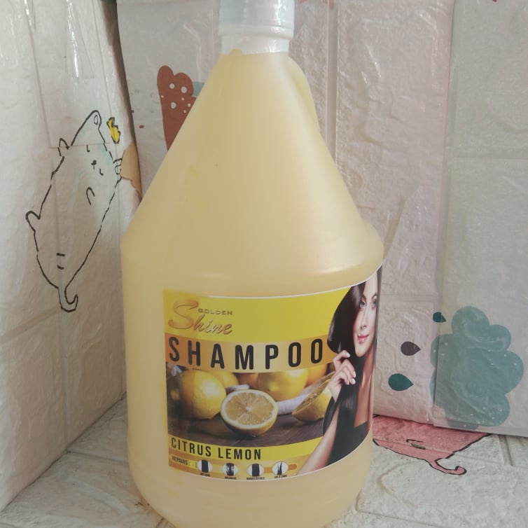 Shampoo Citrus lemon (yellow) hair treatment gallon (Different Sticker ...