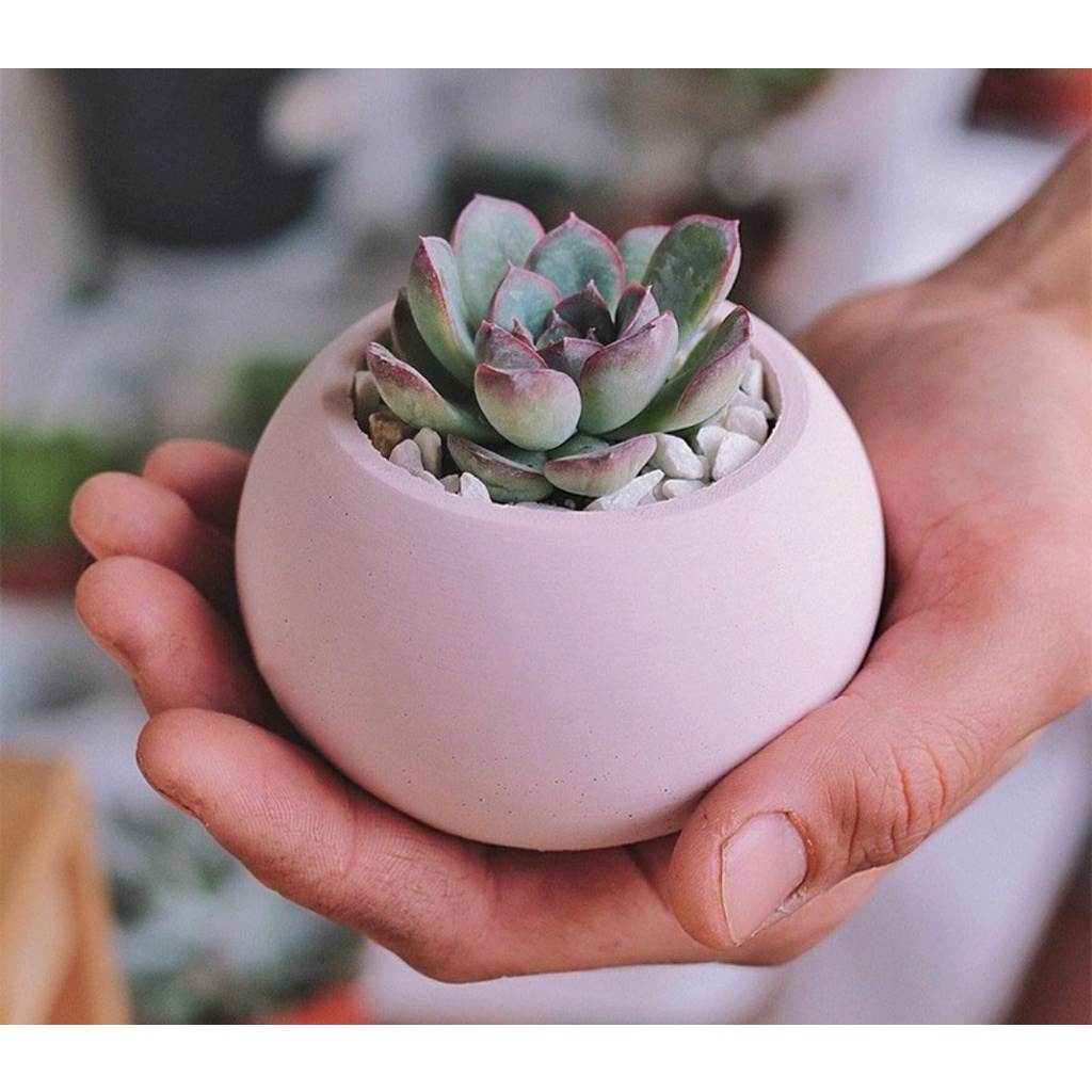 Spherical Round Pot for Succulents, Plants, Candle Vessel | Shopee ...