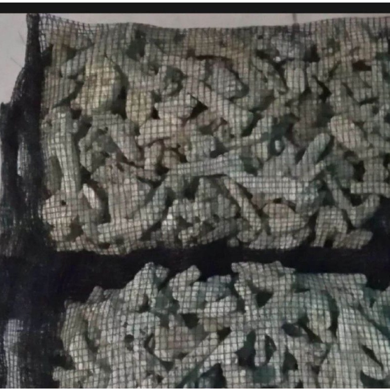 Ginger Coral 1kg aquarium koi Pond filter media | Shopee Philippines