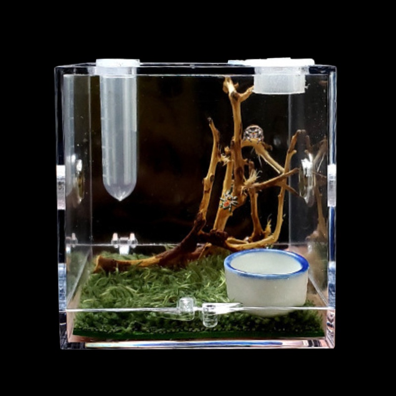 WMMB Spider Habitat Feeding Cage Nano Breeding Box for Spiders ...