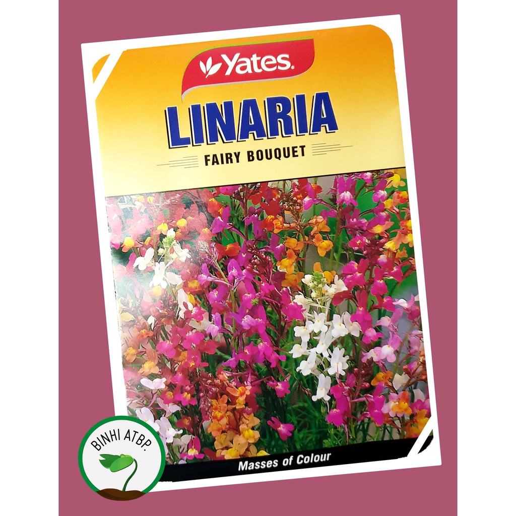Yates Linaria Fairy Bouquet Flower Seeds | Shopee Philippines