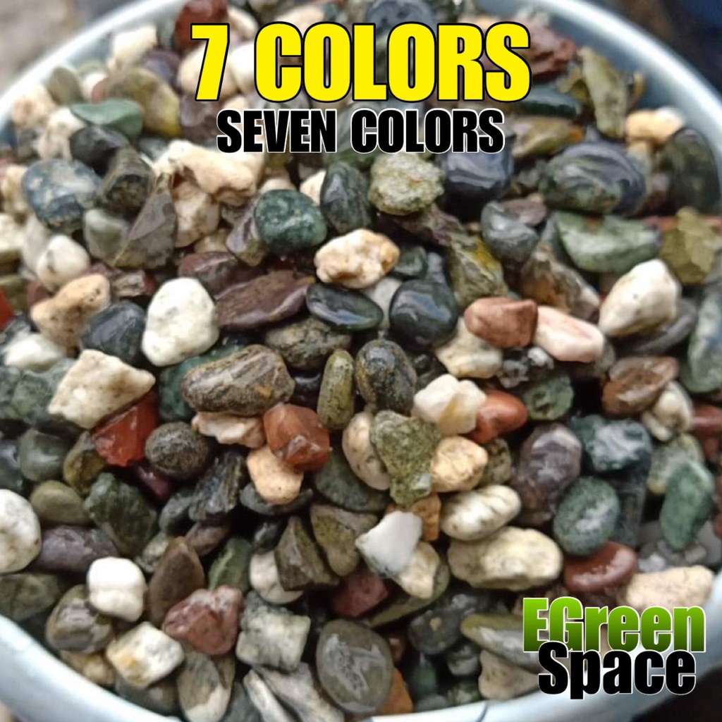 Pebbles (1 Kilo) Aquarium Stones Sand Rock | Part 1 EGreen | Shopee ...