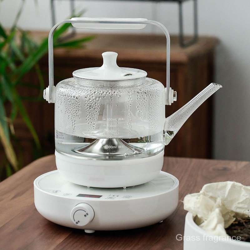 Steam Kettle Steam Health Pot Teapot Heat-Resistant Electrical ...