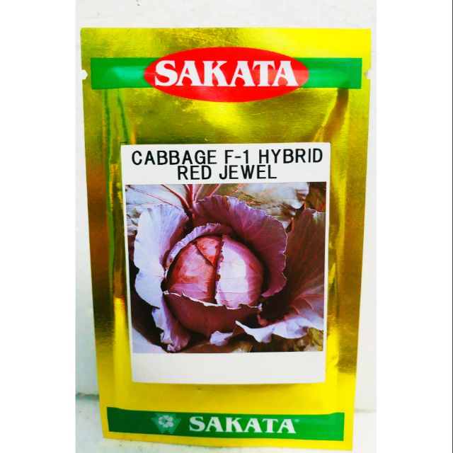 RED CABBAGE RED JEWEL F1 HYBRID SEEDS | Shopee Philippines
