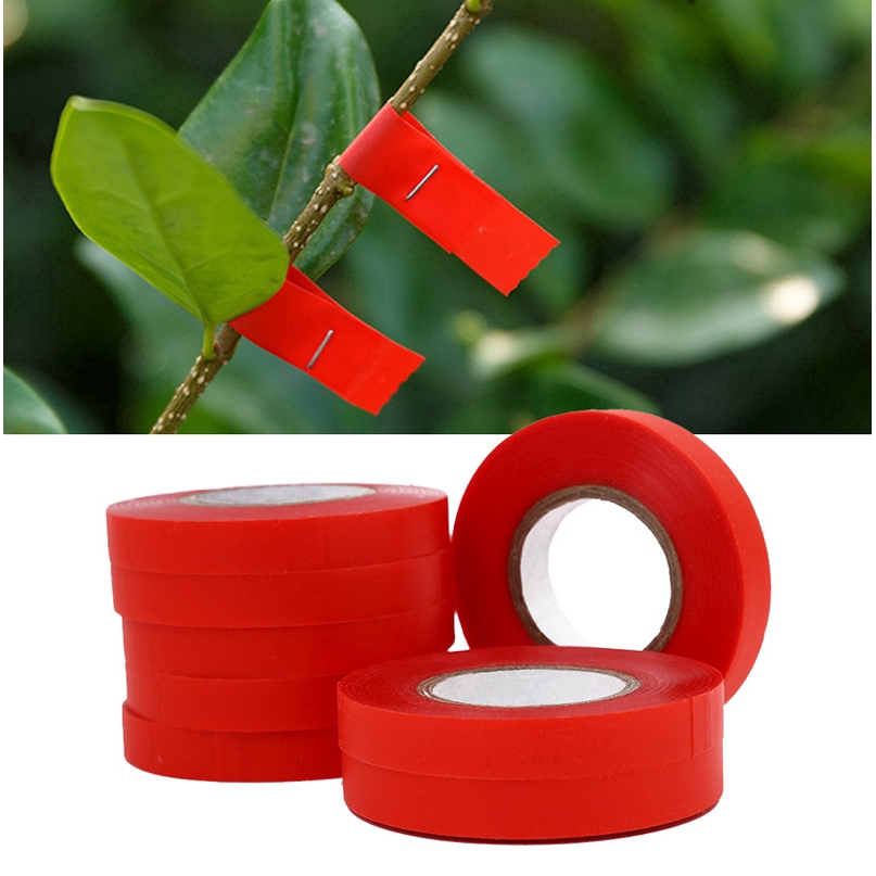 Ribbon Strecth Tape Tapetool Tapener Branch Bind Stem fruit tree Strap ...