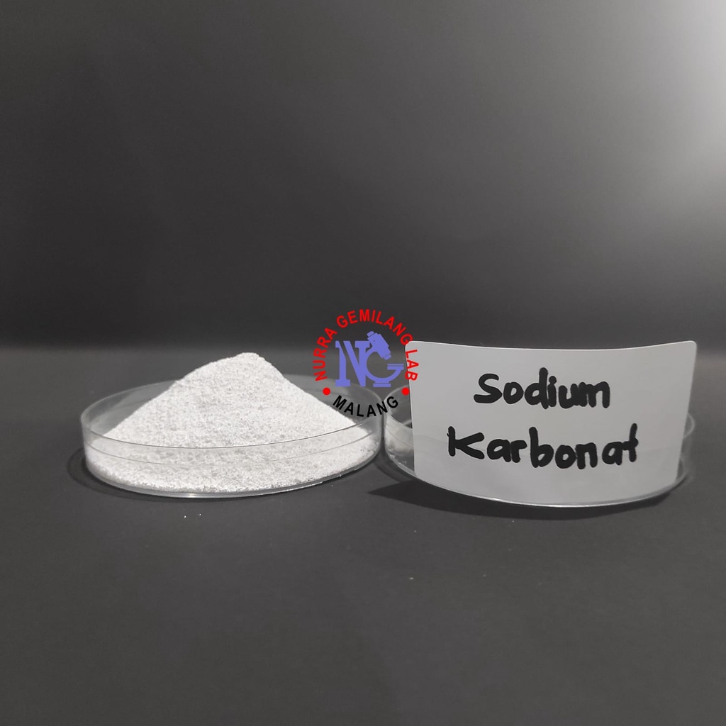 Soda Ash / Sodium Technical Carbonate 1KG | Shopee Philippines