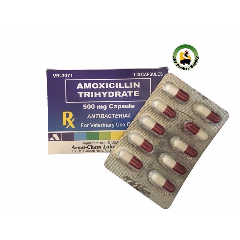Arvet Amoxicillin Trihydrate 500mg Sold 100capsules per Box | Shopee ...