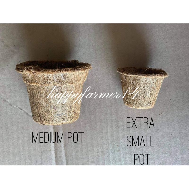 SALE!!! Coco Pots/Organic Pot SOLD BY 5/10's | Shopee Philippines