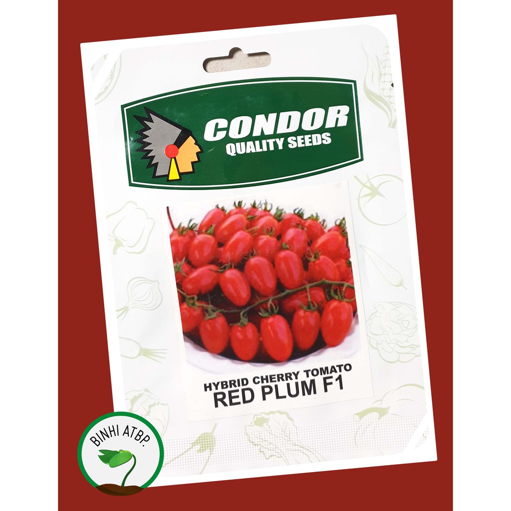Condor Hybrid Cherry Tomato Red Plum F1 Seeds (25 Seeds Pack) | Shopee ...