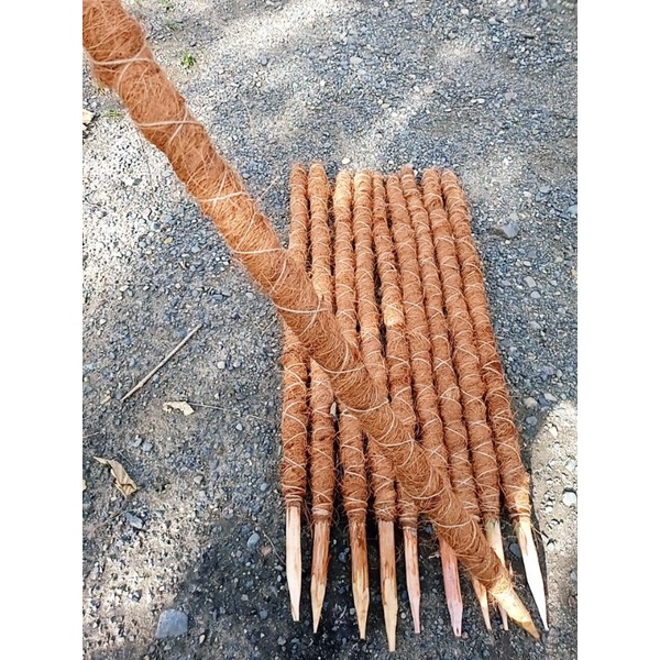 coco pole for your plants (3feet) | Shopee Philippines