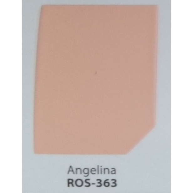 RAIN OR SHINE ELASTOMERIC WATERPROOFING PAINT 1 GALLON (PART2) WALANG ...