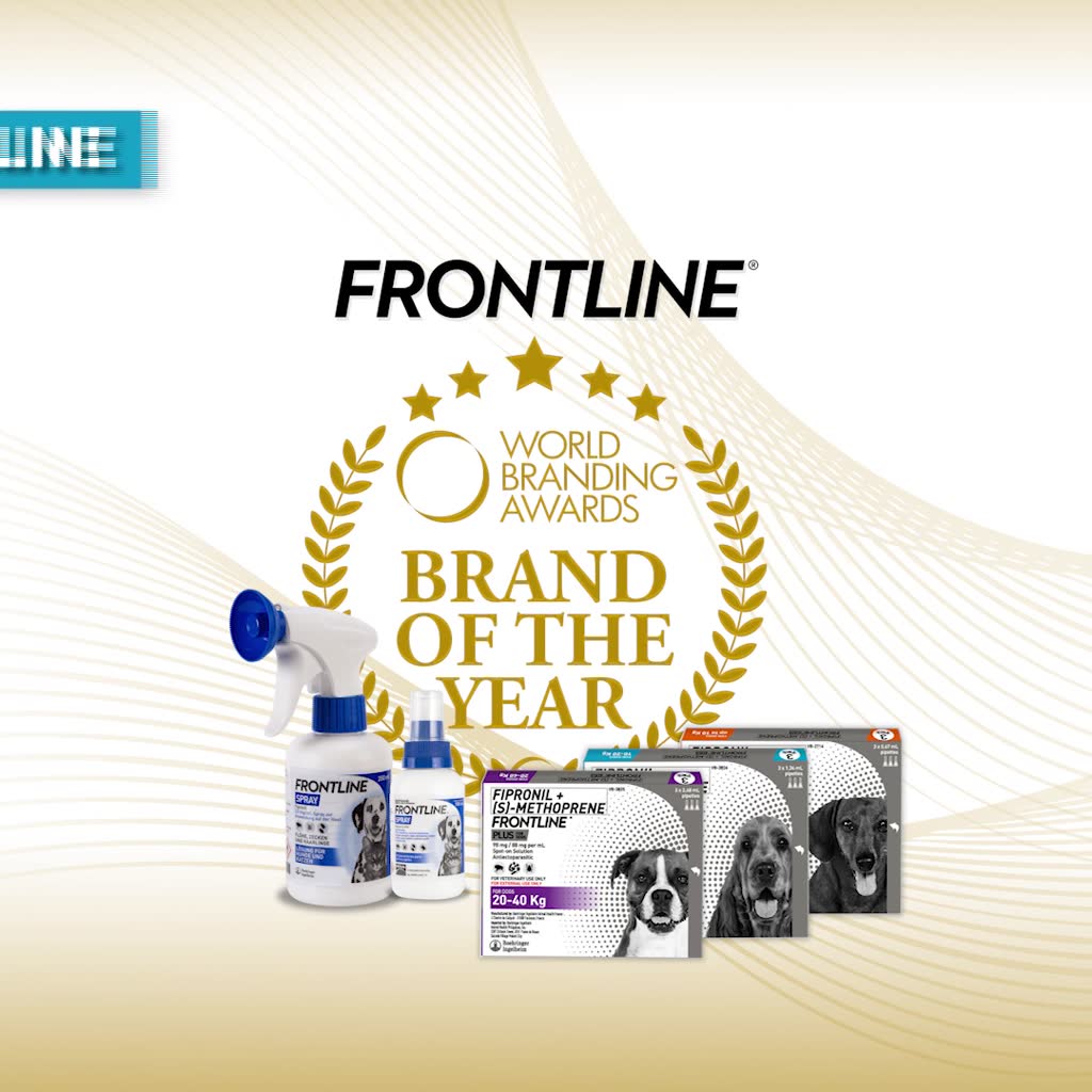 Frontline Plus For Dogs Anti Tick And Flea Spot-On Anti Itch Pulgas ...