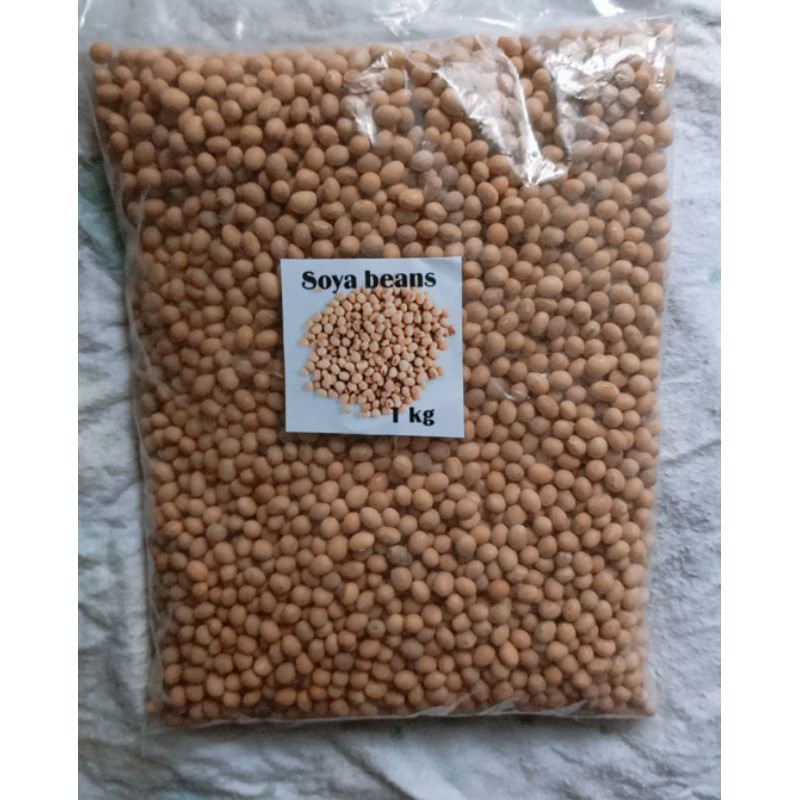Organic Soya beans (1 kilo ) Non gmo | Shopee Philippines