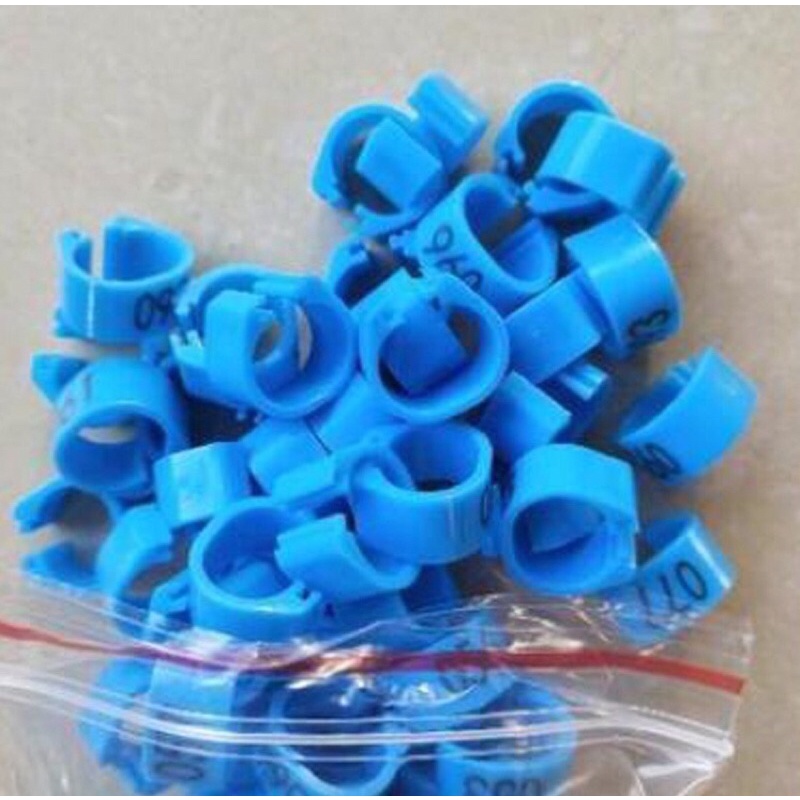 CLIP RING FOR PIGEON | Shopee Philippines