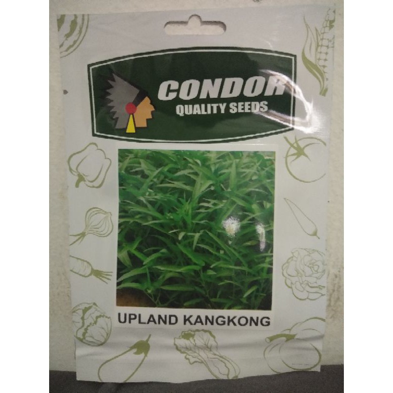 CONDOR SEEDS Pechay,Sitaw,Mustard,Okra,Bell Pepper,Upo,Talong,Onion ...