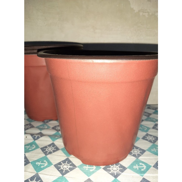 13 pesos each (set of 10pcs.) brown pots for plants (5.5x4.5 inches ...