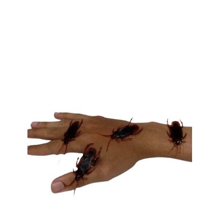 Rubber Cockroach Prank Toys - Rubber Cockroach Toys - Rubber Cockroach ...
