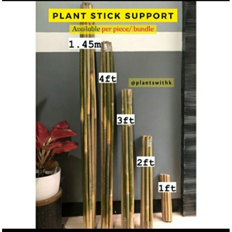 1ft Plant Support, Plant Stick, Plant Stake, Plant Base, Plants ...