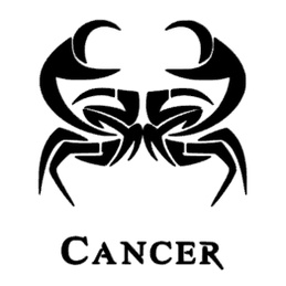 Zodiac Sign Vinyl Cut Out Weatherproof, for Car, Motorcycle, Laptop any ...