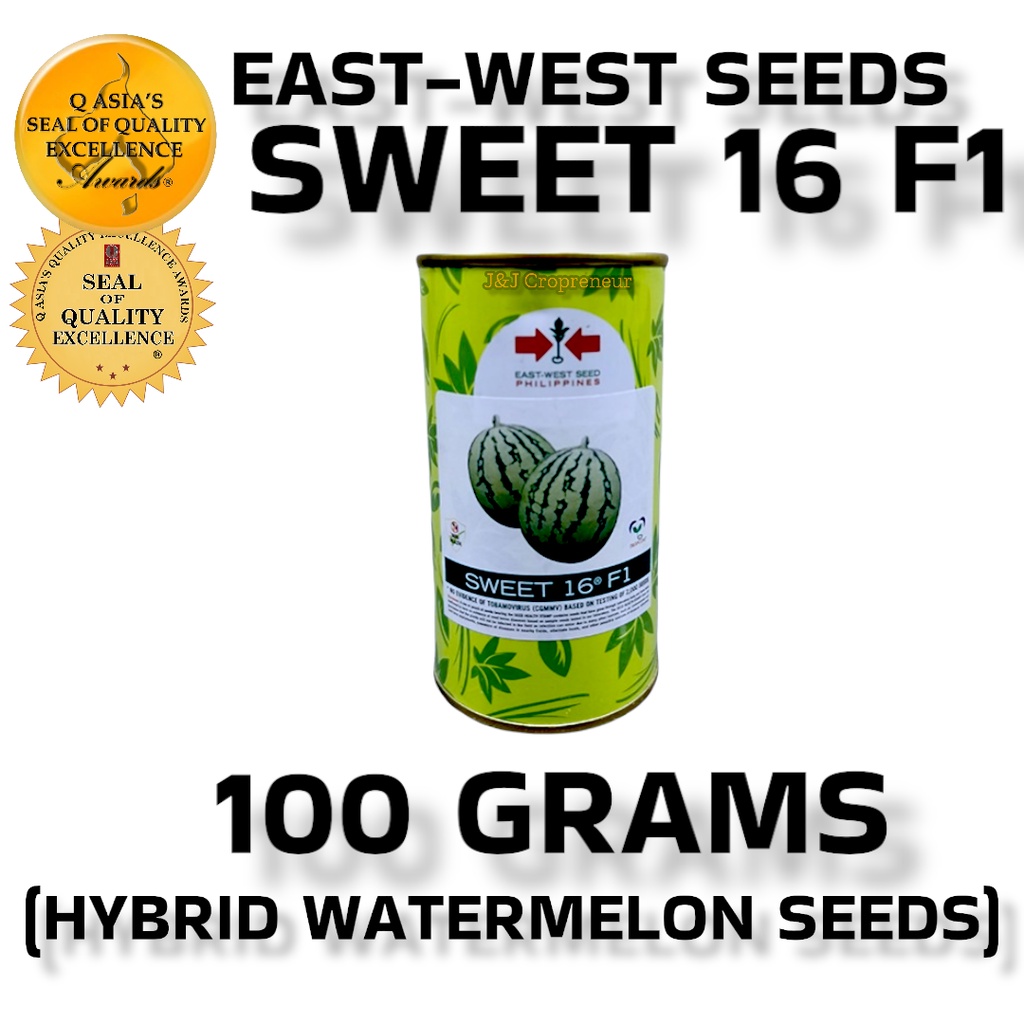 SWEET 16 F1 HYBRID WATERMELON 100 GRAMS (EAST WEST) | Shopee Philippines