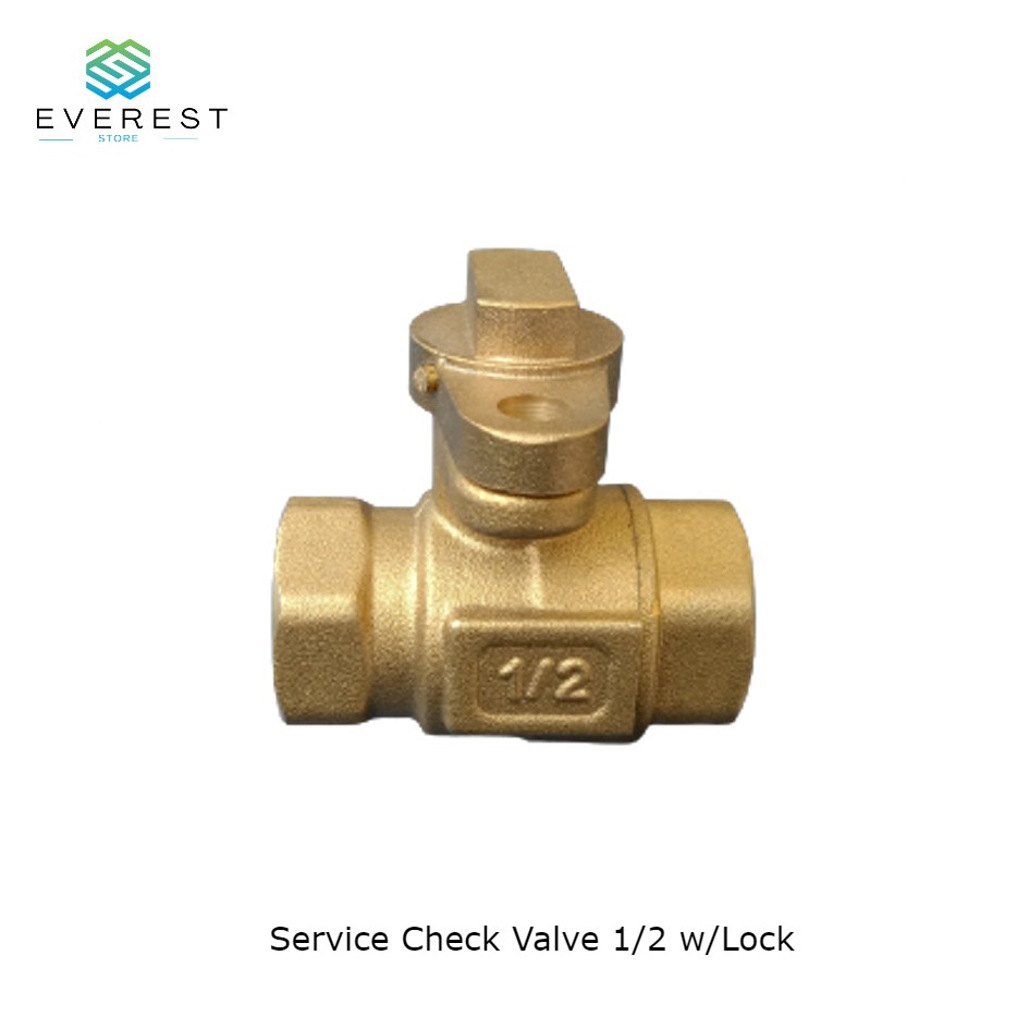 Female Thread Brass Non-Return Swing Check Valve Prevent Water Ball ...