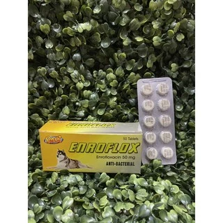 enroflox - Best Prices and Online Promos - Jan 2025 | Shopee Philippines