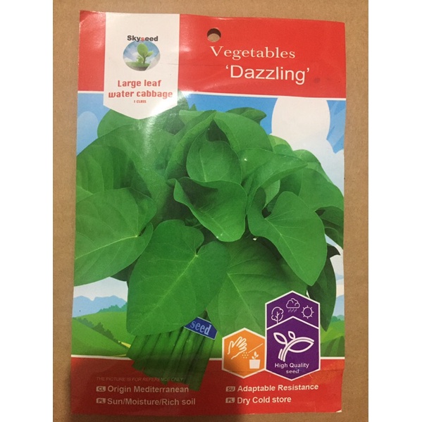 skyseed Large Leaf water cabbage 1class vegetable Dazzling | Shopee ...