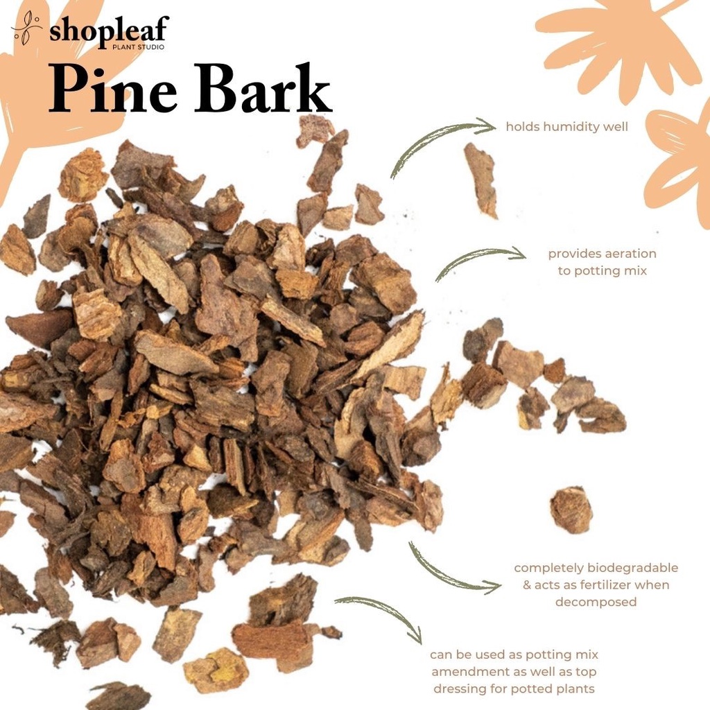 Shopleaf Pine Bark Substrate (500grams) | Shopee Philippines