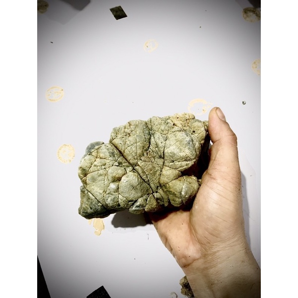 Super grain mini Elephant Skin Stone 1kg | Shopee Philippines