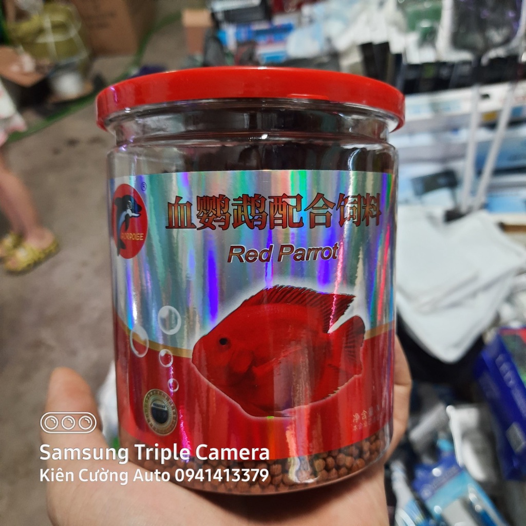 Red Parrot fish bran (anh Vu blood fish, red parrot fish, heart-tailed ...