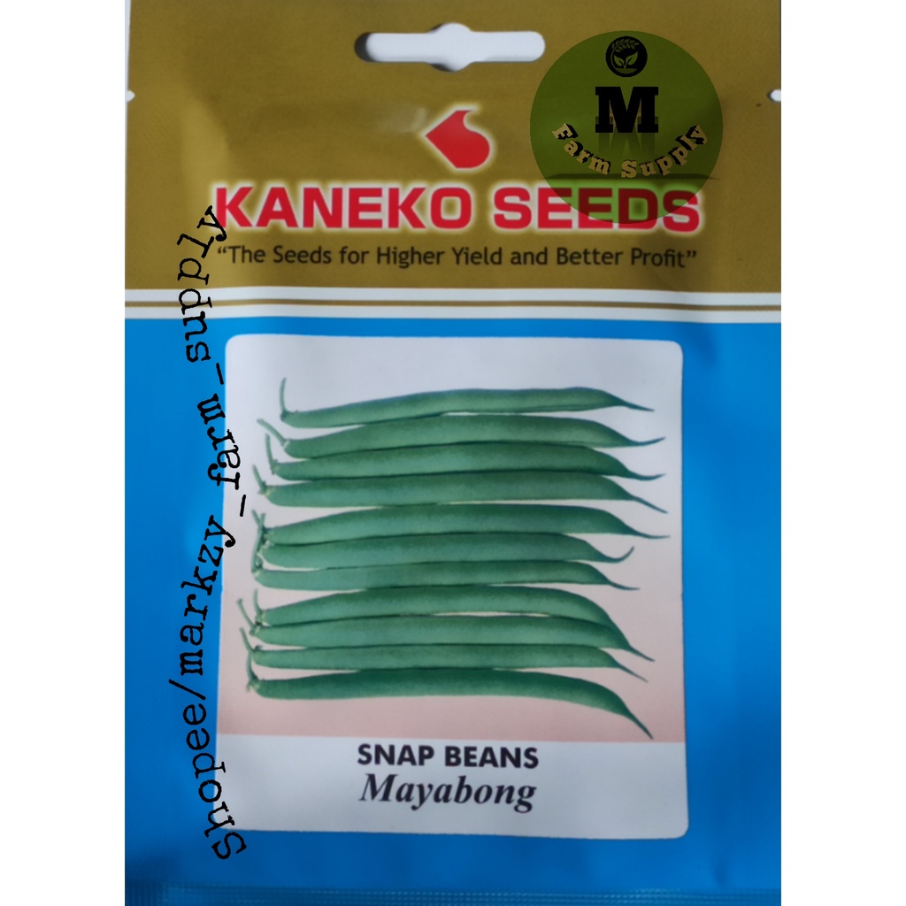 Snap Beans Mayabong Kaneko High Quality Seeds | Shopee Philippines