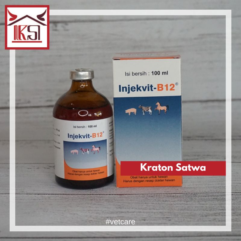 Injection B12 100ml, Vitamin B12 For Cattle, Goats, Horses, Sheep ...