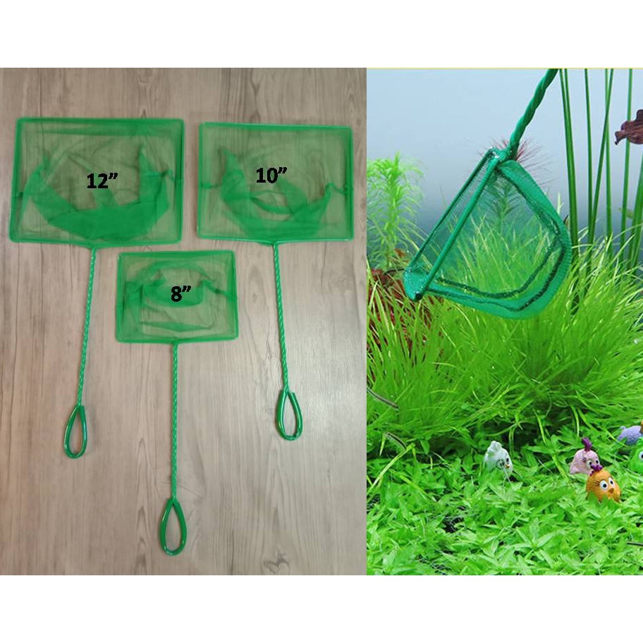 Fish Net Green With Plastic Handle for Fish Tank (8", 10" and 12 ...
