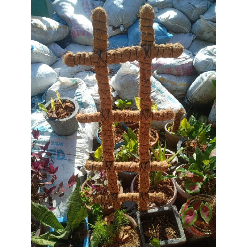 3ft coco ladder w/bamboo stick used | Shopee Philippines
