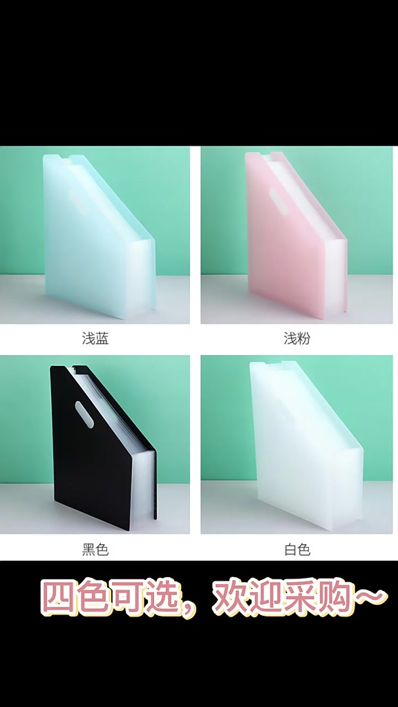 A4 Standing Slanted Expandable File Holder Organizer 13 Pocket | Shopee ...