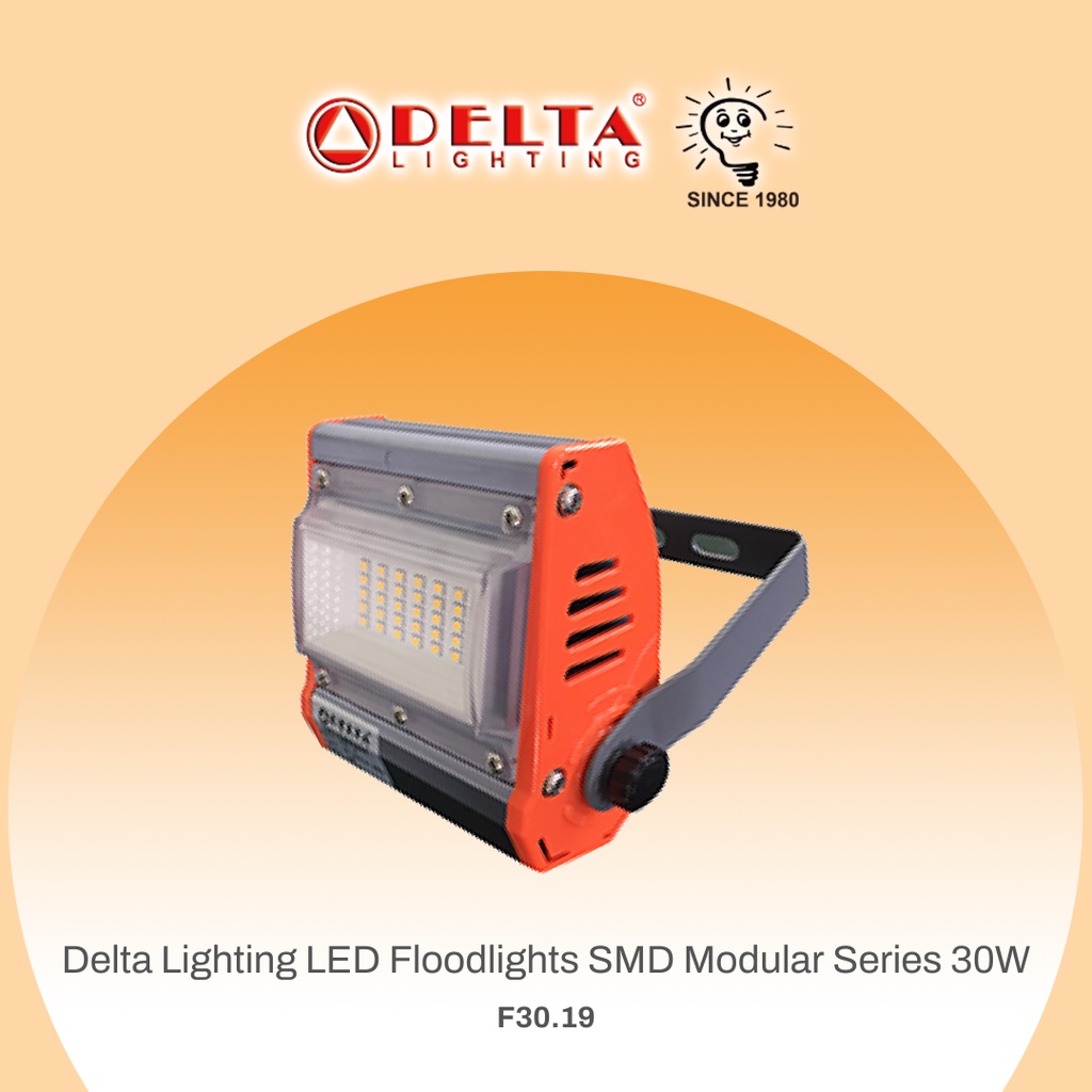 Delta Lighting LED Floodlights SMD Modular Series IP65 30W, 50W, 100W ...