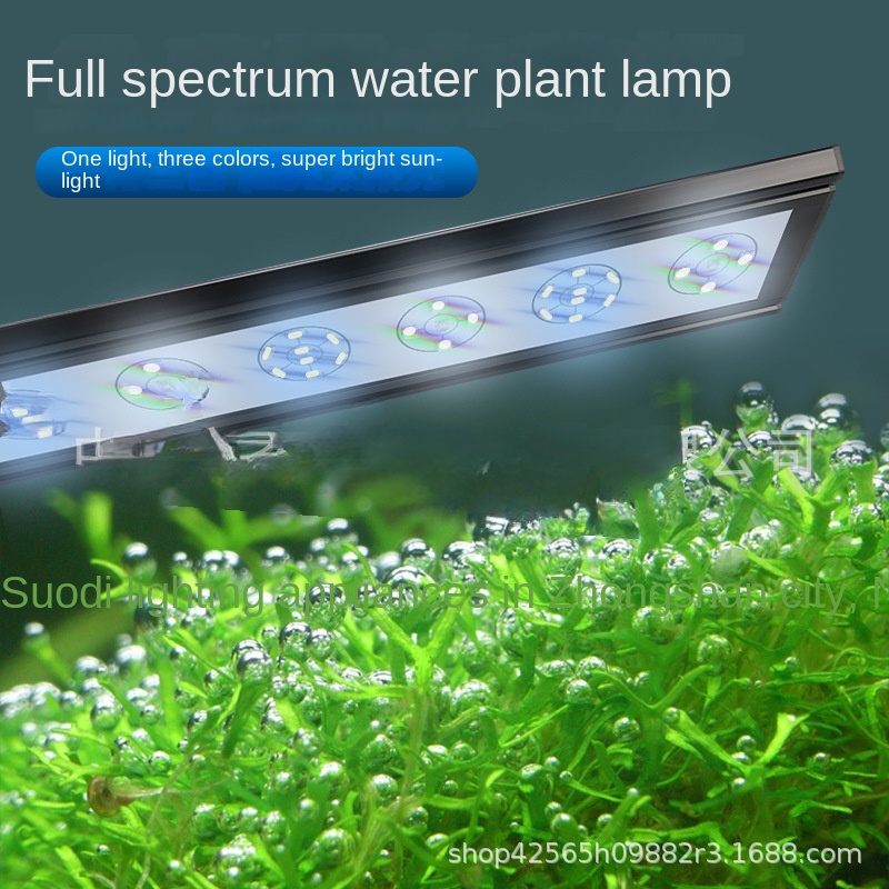 Water Grass Lamp LED Waterproof Splash Lighting Tank Special Ornamental ...