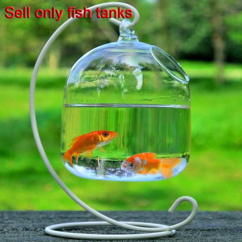 Hanging Transparent Glass Vases Fishbowl Fish Tanks Handmade Aquarium ...