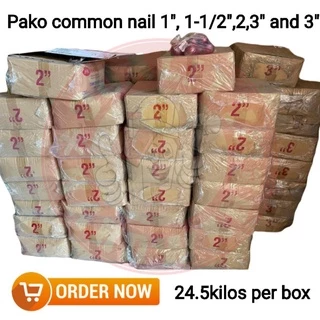 Shop common nail for Sale on Shopee Philippines