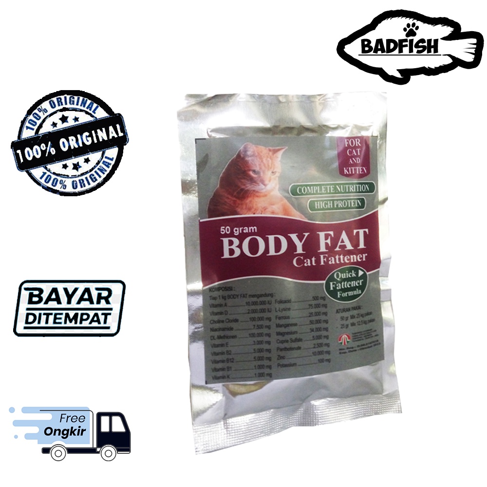 Body FAT CAT FAT FAT FAT CAT FATTENING AND CAT APPETITE ENHANCER ...