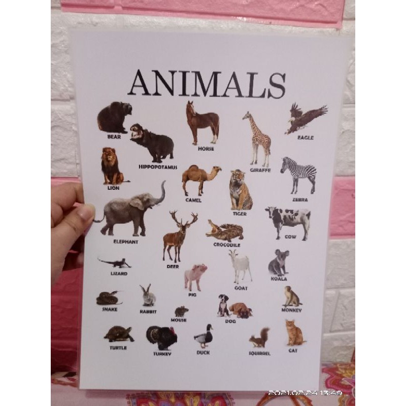 Kids learning material laminated chart waterproof 1-6 years old ...