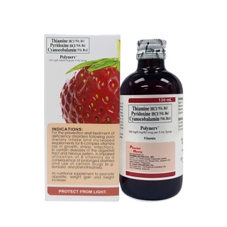 POLYNERV Syrup 120mL | Shopee Philippines