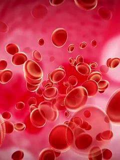 Biological Microscope LED Light 1200 3000X Microscope For Laboratory ...