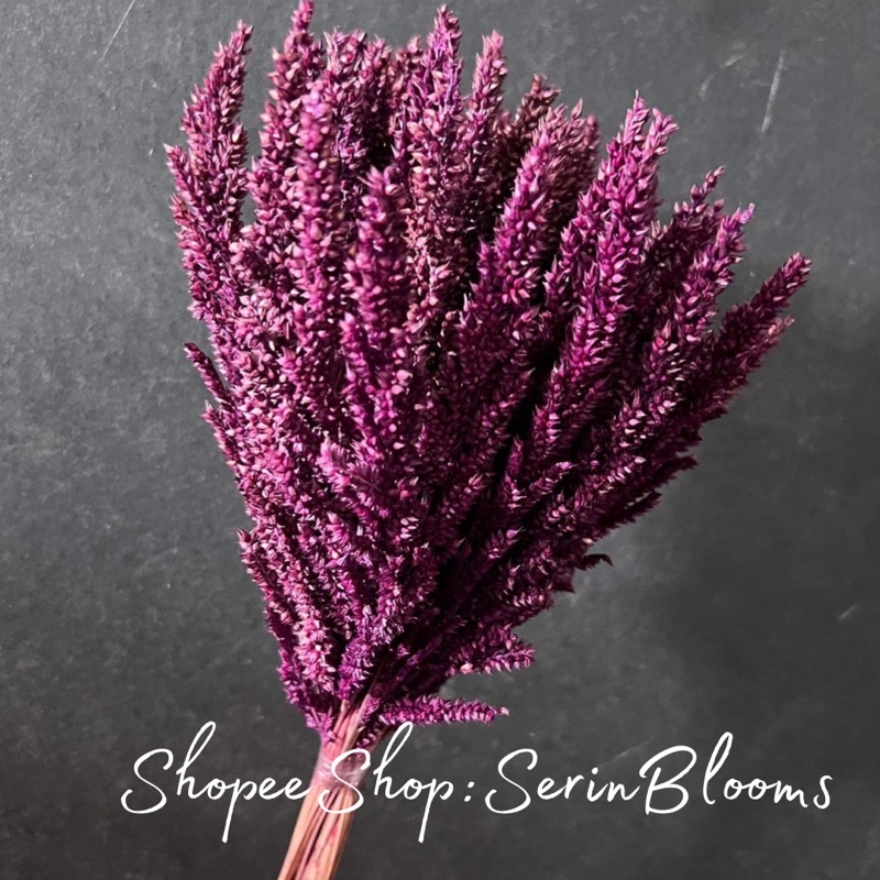 Local Dried Trigo sold per bundle | Shopee Philippines