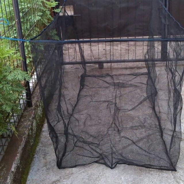 Fish waring cage 1m x 1m x 1.1m fish pond | Shopee Philippines