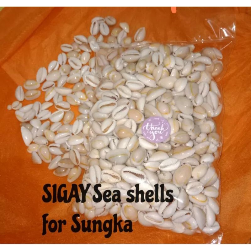 shell sigay for sungka shell sigay for design mall quality sigay 1kilo ...