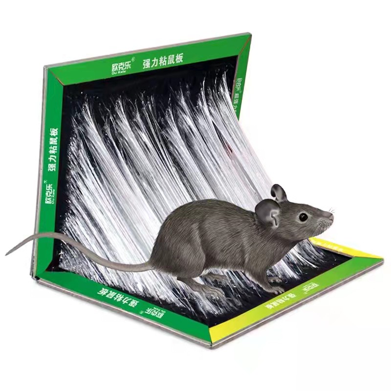 Rat & Mouse Sticky Mice Rodent Glue Board Bait Trap Anti Daga | Shopee ...