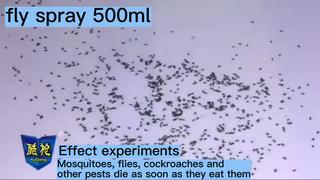 fly spray Fly Killer Effective Fly Killing Bait Fly Killer Bait Fly ...